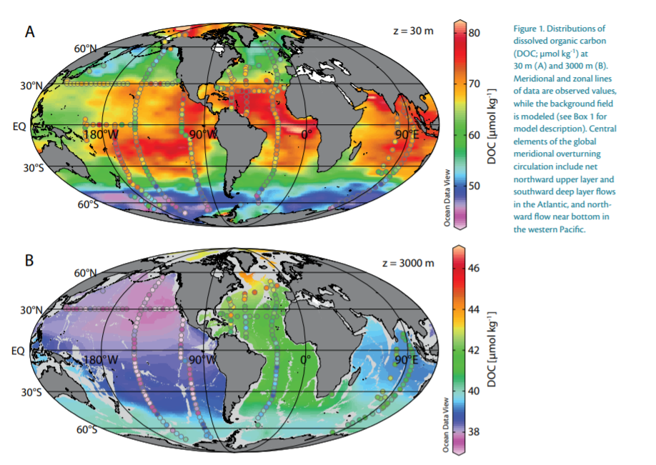 Global Distribution of Dissolved Organic Carbon in the Ocean: DOC distribution for all oceans ...